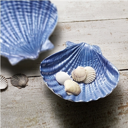 Blue Scallop Shell